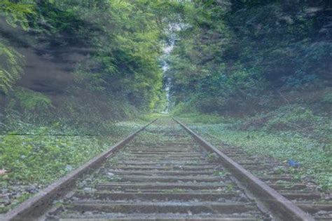 Python PIL Image Blend Method CodeSpeedy