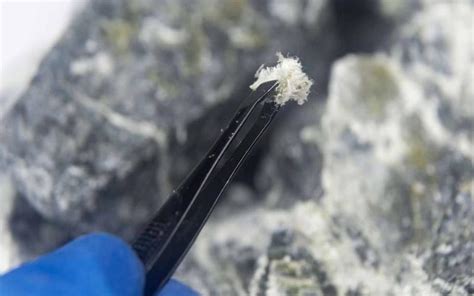 Comprehensive Guide To Asbestos Testing Importance Methods And Best Practices