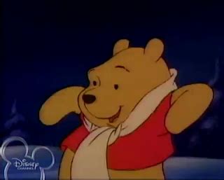 The New Adventures Of Winnie The Pooh Wishing Bear