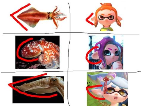 Project Splatoon 3 Harelings Playable Species Concept Based On Sea Hares Splatoon
