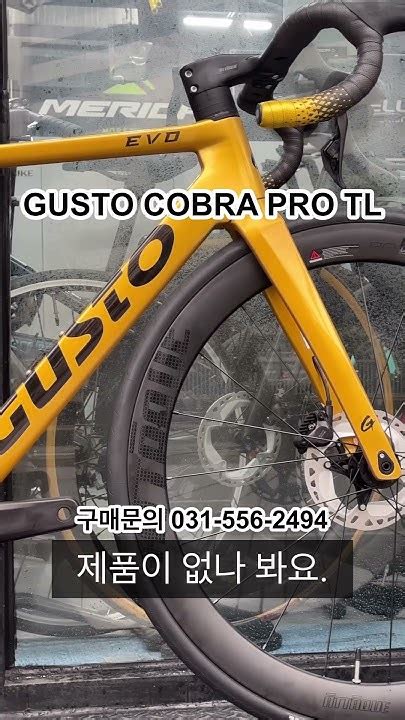 가성비 로드 자전거 거스토 코브라 Youtube