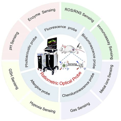 Ratiometric Optical Probes For Biosensing