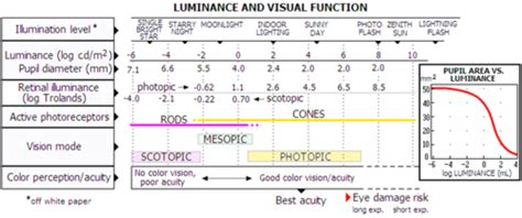 PSC3008 Lecture 13 14 Adaptation Centre Surround Receptive Fields And Retinal Pathology