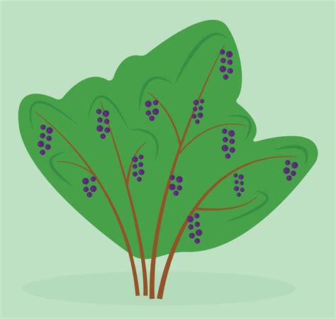 Buisson De Cassis De Dessin Animé Mignon Dans Le Jardin Arbuste De