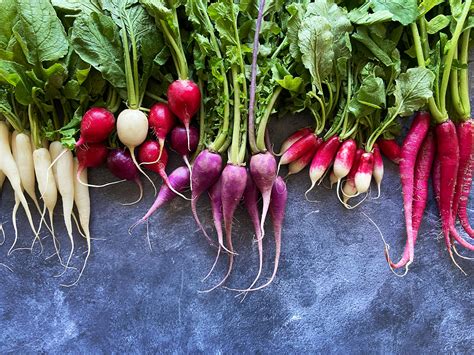 Rad Root Vegetables 6 Radishes To Rave About Blog