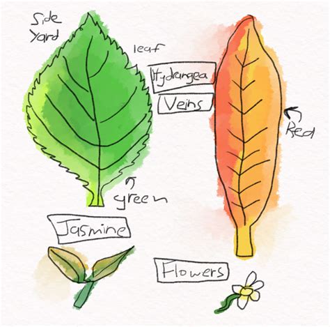 Science Notebooks Exemplars