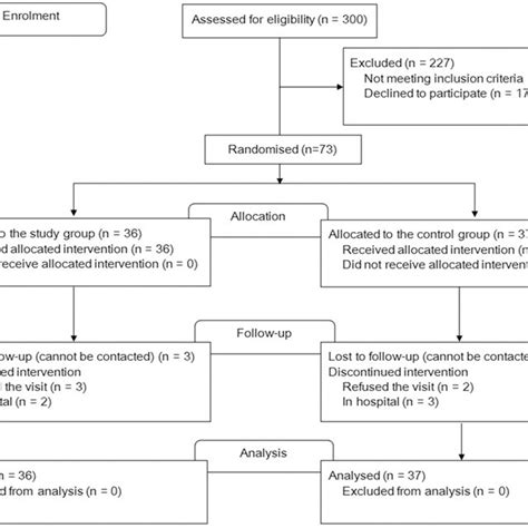 Patient Allocation And Experimental Design Download Scientific Diagram