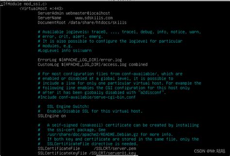 Debian使用Apache 搭建https网站 apache 搭建网站 CSDN博客