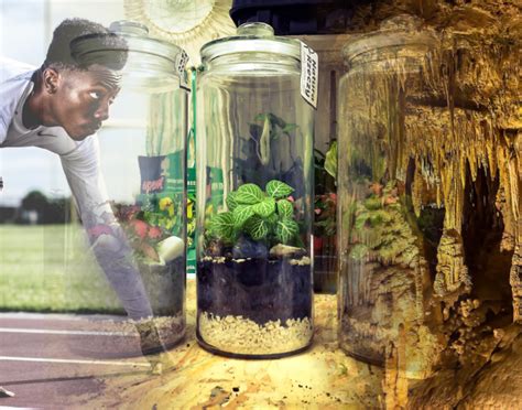 Stable Isotope Analysis Carbon Nitrogen Chnos