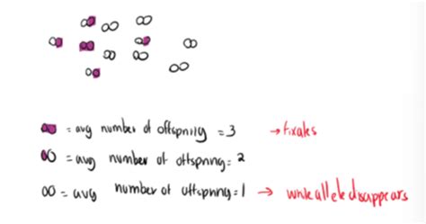 Chapter 5 Natural Selection Flashcards Quizlet