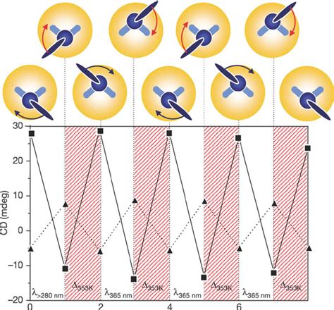 Following Two Full Turns By Cd Spectroscopyschematic Representation Of Download Scientific
