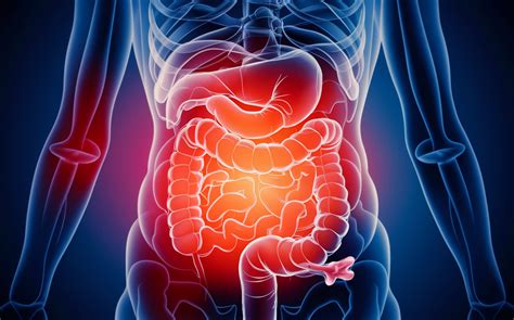 Understanding Gastrointestinal Bleeding Causes Symptoms Diagnosis