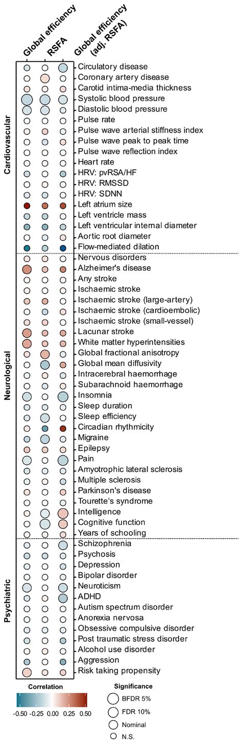 Bubbleplot For Genetic Correlations Between Global Efficiency Resting Download Scientific