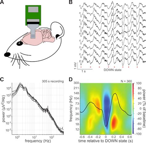 Fabrication Of Ti3c2 Mxene Microelectrode Arrays For In Vivo Neural Recording Video Jove