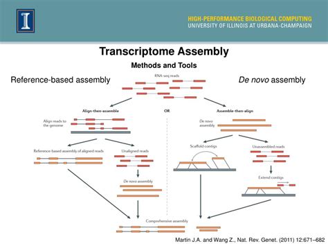 Ppt Rna Seq And Transcriptome Analysis Powerpoint Presentation Free