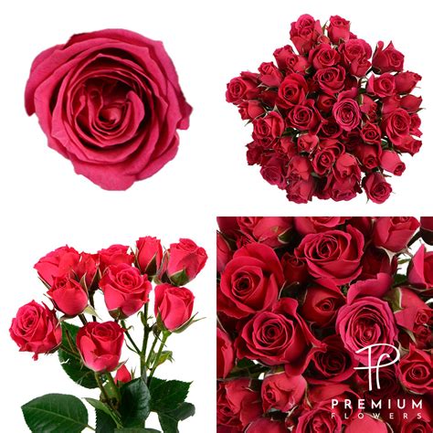 Lovely Lidya Premium Flowers