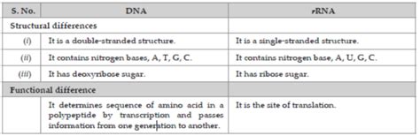 Cbse Class 12 Biology Molecular Basis Of Inheritance Worksheet Set F