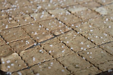 Whole Wheat Crackers My Food Storage Cookbook