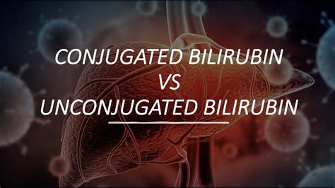 Conjugated Bilirubin Vs Unconjugated Bilirubin Youtube