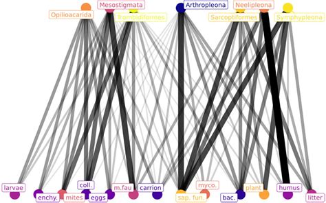 Bipartite Graph Showing The Use Of Trophic Resources By The Main Orders Download Scientific