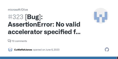Bug Assertionerror No Valid Accelerator Specified For Target System