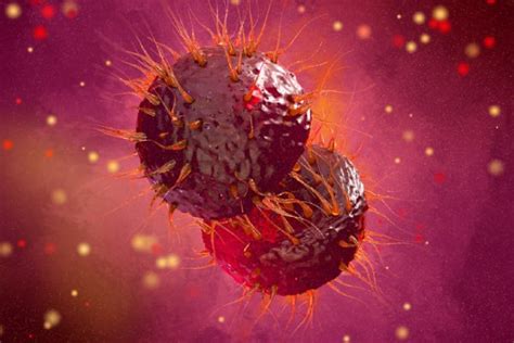 New Strain Of Antibiotic Resistant Gonorrhoea Identified