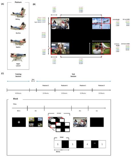 Sensors Free Full Text Effect Of Static Posture On Online Performance Of P300 Based Bcis For