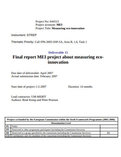19 Project Final Report Examples To Download
