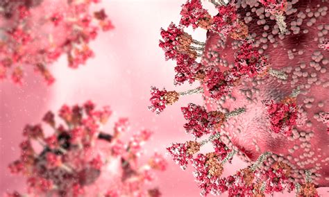 Omicron Prompts Fda To Restrict Use Of Specific Antibodies