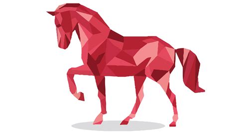 Vector Tracing Behance