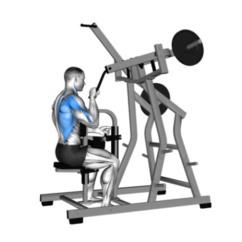 원암 레터럴 와이드 풀다운 번핏 운동 기록이 만드는 진짜 성장