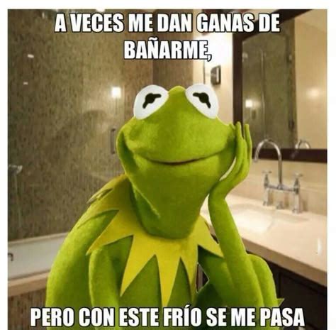 82 Ideas De La Rana Memes De La Rana Rana Rene Chistoso