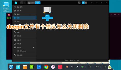 Deepin檔案有個鎖頭怎麼刪除 Deepin刪除帶鎖頭檔案的技巧 Linux Php中文網 Deepin檔案有個鎖頭怎麼刪除 Deepin刪除帶鎖頭檔案的技巧 Linux Php中文網