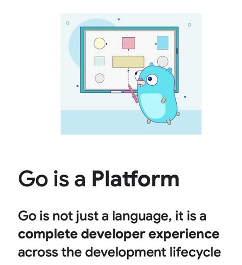 Go é Mais Que Uma Linguagem De Programação é Uma Plataforma Elton Minetto