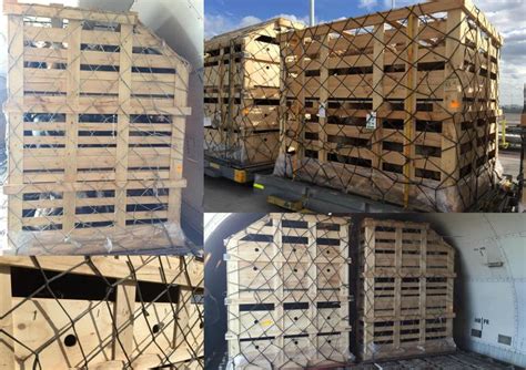 Cmtp On Linkedin At Cmtp We Know That Protecting Your Living Cargo Is Important For Both