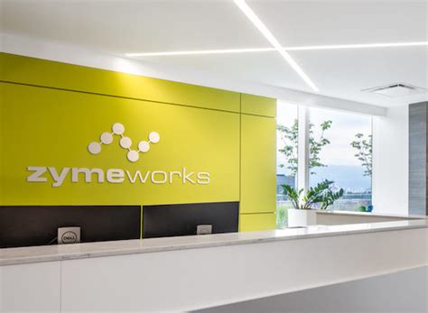 Dose Limiting Toxicities Prompt Zymeworks To Discontinue T Cell Engager