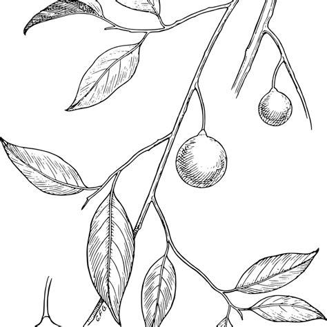 Java Draw Png Draw And Fill Shapes In Java Draw And Fill Shapes With Java In By Golden Thumb