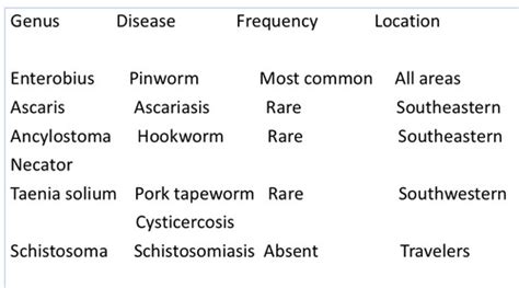 Gi Helminths Flashcards Quizlet
