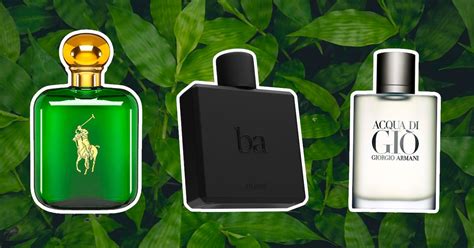 Best Clean Scent Men S Cologne At Thelma Guerrero Blog
