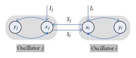 example of two coupled neural oscillators besides the external input