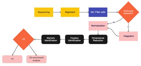 GitHub Anitasalamon Single Cell RNA Seq