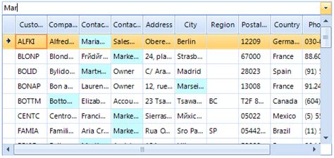 Use Custom Filtering To Search In All Columns Of Radmulticolumncombobox