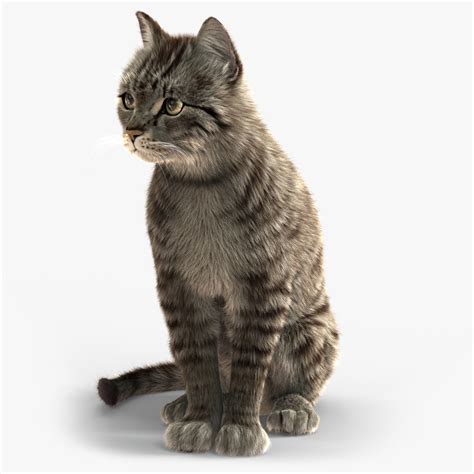 fbx models download fbx files turbosquid