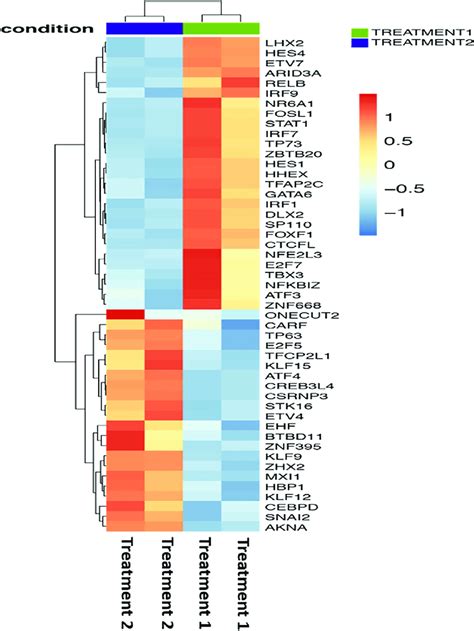 Hierarchical Clustering Of Differentially Expressed Transcription Download Scientific Diagram