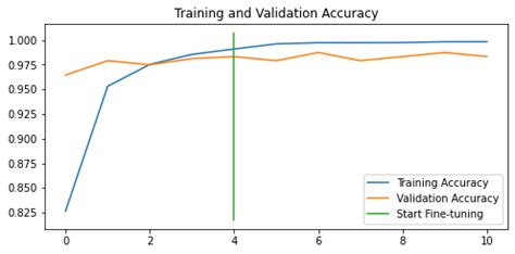 TensorFlow Transfer Learning Fine Tuning In Image Classification