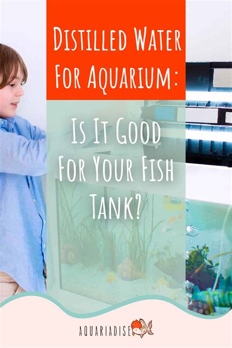 Distilled Water For Aquarium Benefits Use And Preparation Of