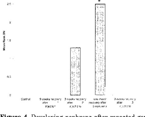 Nephron Development Semantic Scholar