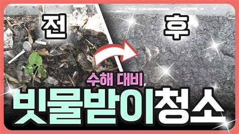 하수구에 쓰레기 버리면 큰일 납니다제발 버리지 말아주세요 ㅠㅠ Youtube