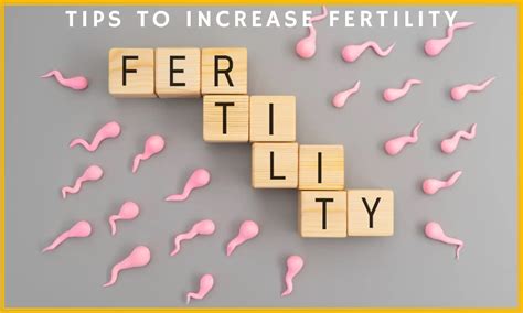 How To Increase Fertility 16 Ways To Improve Fertility