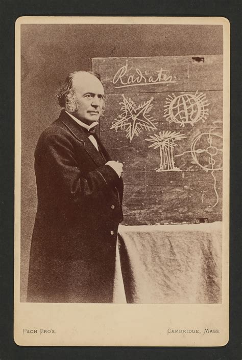 Race Scientists Louis Agassiz John Collins Warren And Jeffries Wyman
